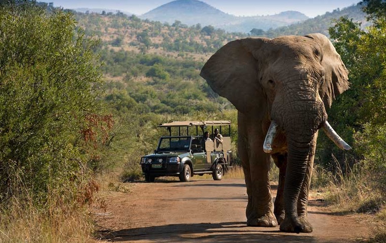 Why Go On A Guided Tour | Southern African Safaris Perth WA